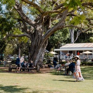 Home - Scenic Rim Farm Shop
